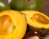 Lucuma - Inca Botanica
